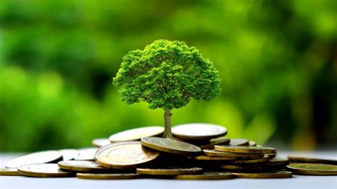 Green Finance: Between Commitment And Illusion - The London Financial
